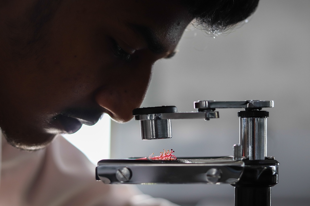 Crop Management | Kumaraguru Institute of Agriculture