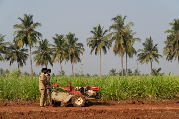 Department of Crop Management | Kumaraguru